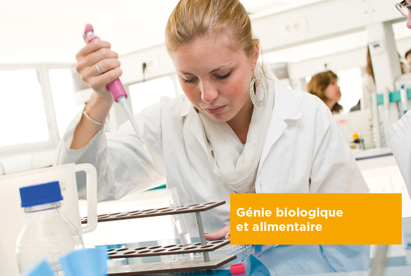 Les écoles – e3a-Polytech